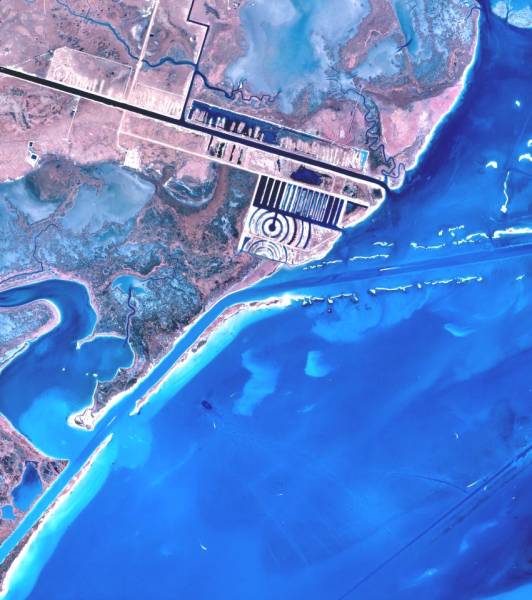 Jones Bay (Trip Leader: Jason Talley) > Events