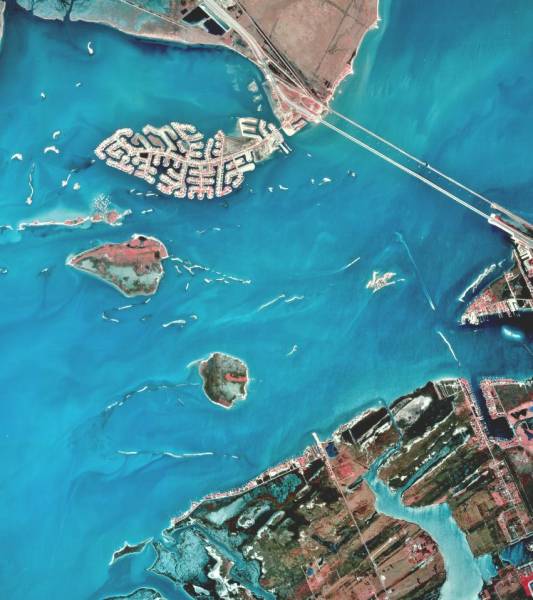 Jones Bay (Trip Leader: Jason Talley) > Events